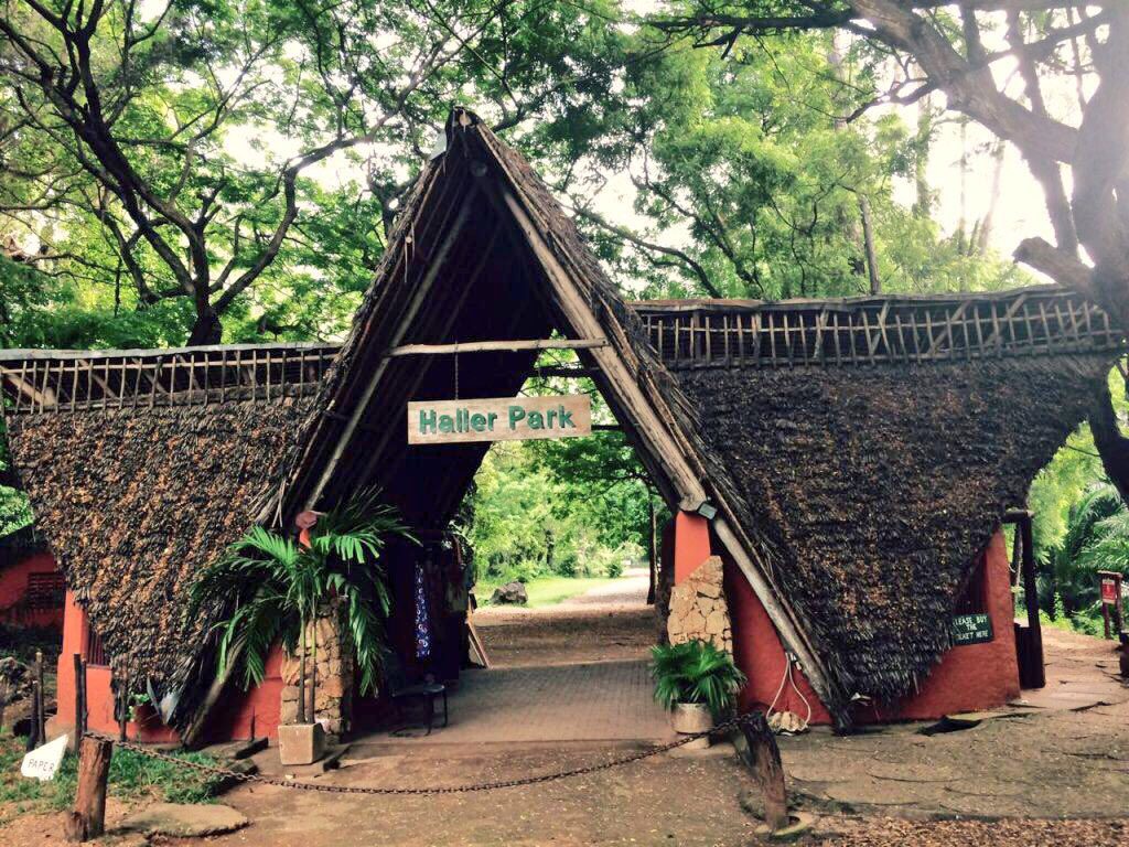 Visit Haller Park – Viva Vipingo